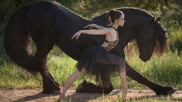 The Mesmerizing World of Horse Circus: Where Elegance Meets Spectacle