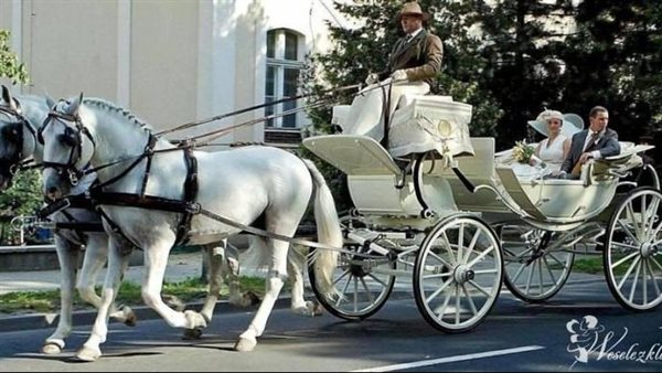 The Timeless Elegance of Horse-Drawn Carriages: A Fusion of Tradition ...