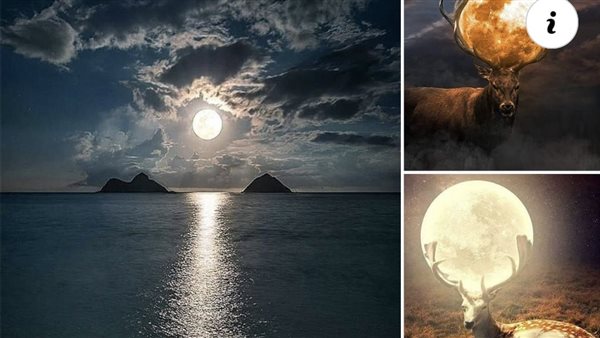 Captivating Images of the Largest “Super Stag Moon” of 2023 Illuminate ...