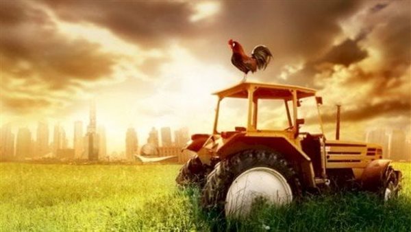 تعبير عن الفرق بين الريف والمدينة