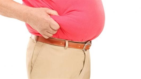 Everything You Need to Know About the Causes of Belly Fat
