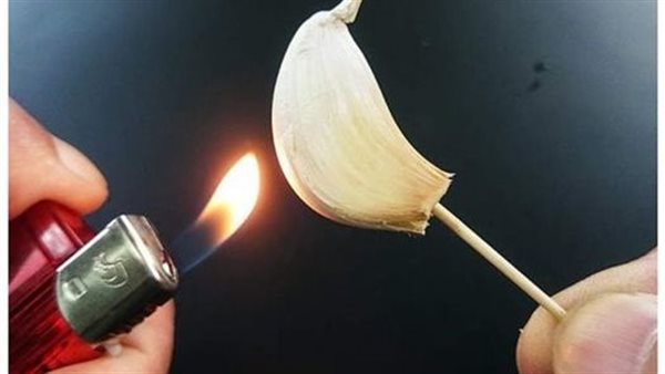 Burning a clove of garlic, what happens after 15 minutes at home